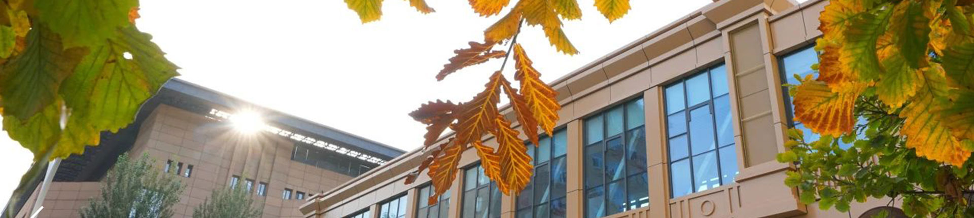 Clean Energy Technology Sector